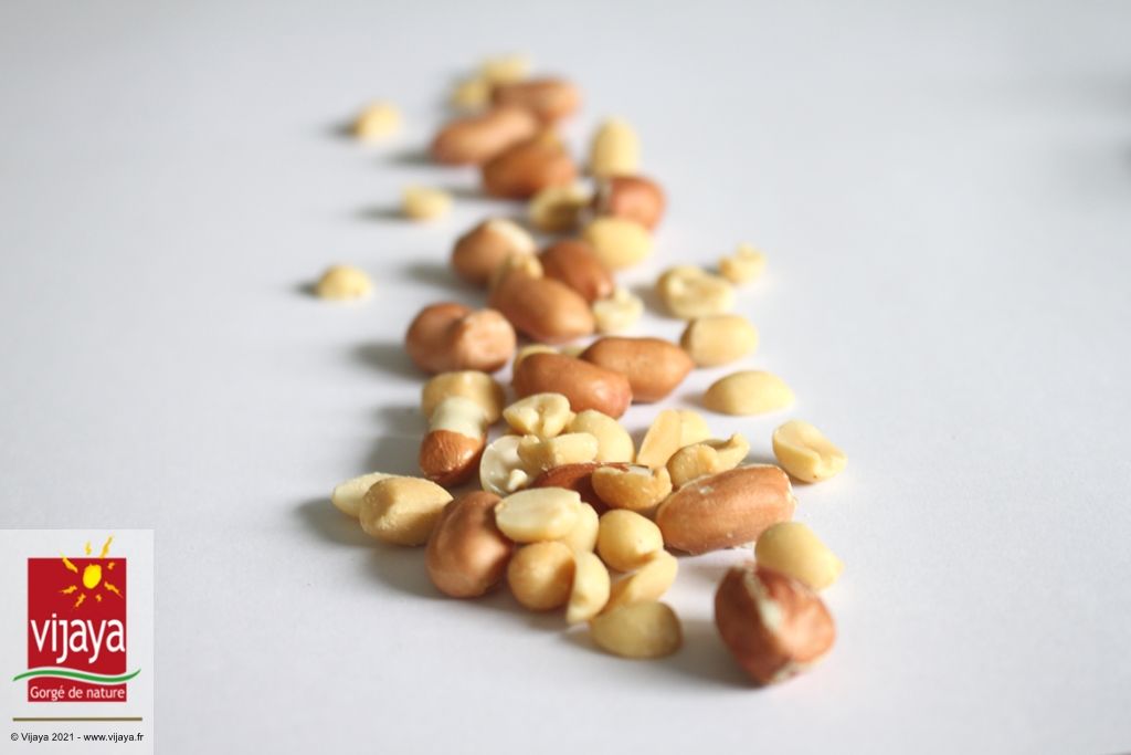 Les Arachides Bio VIJAYA