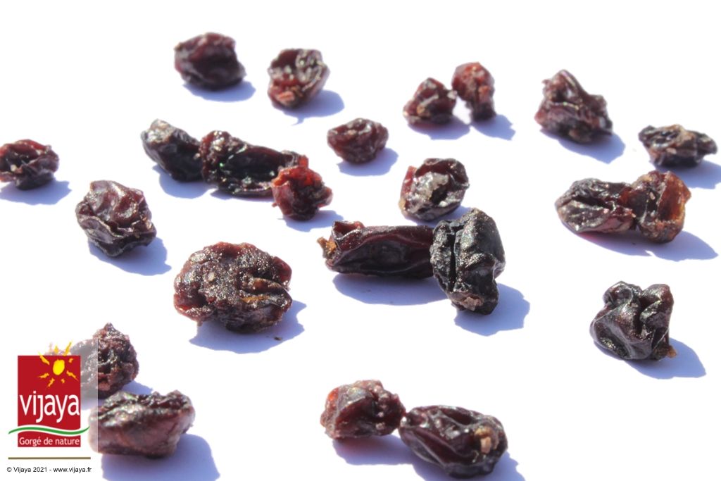 Le Raisin de Corinthe Bio - Aides Culinaires Bio - Vijaya