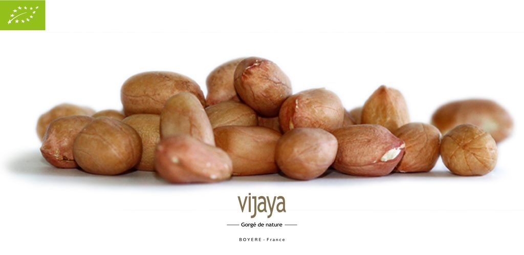 L'Arachide Décortiquée Crue Bio - Fruits Secs Bio - Vijaya